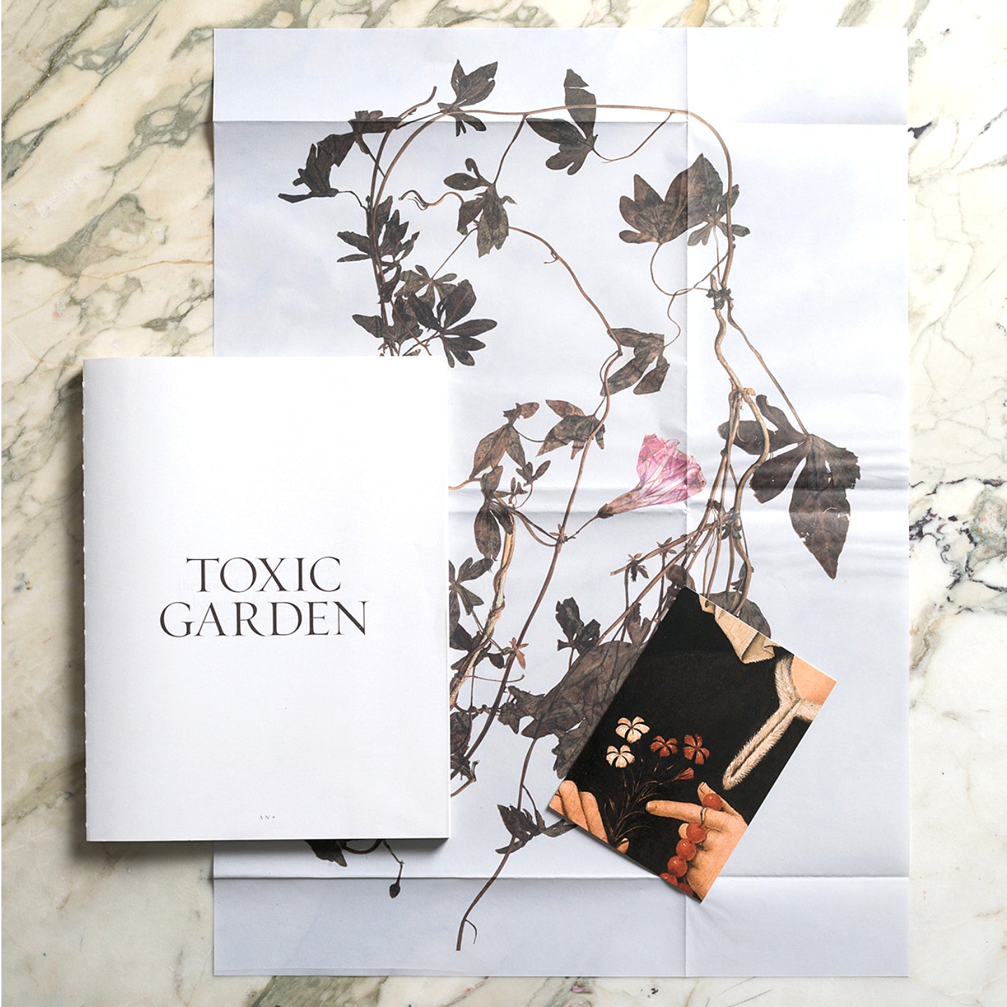 Toxic Garden Book – Wms&Co.